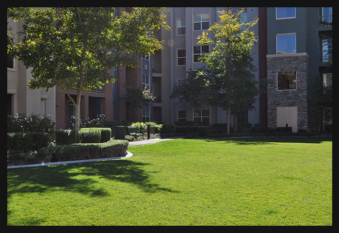 SB Landscaping & Design | Gallery